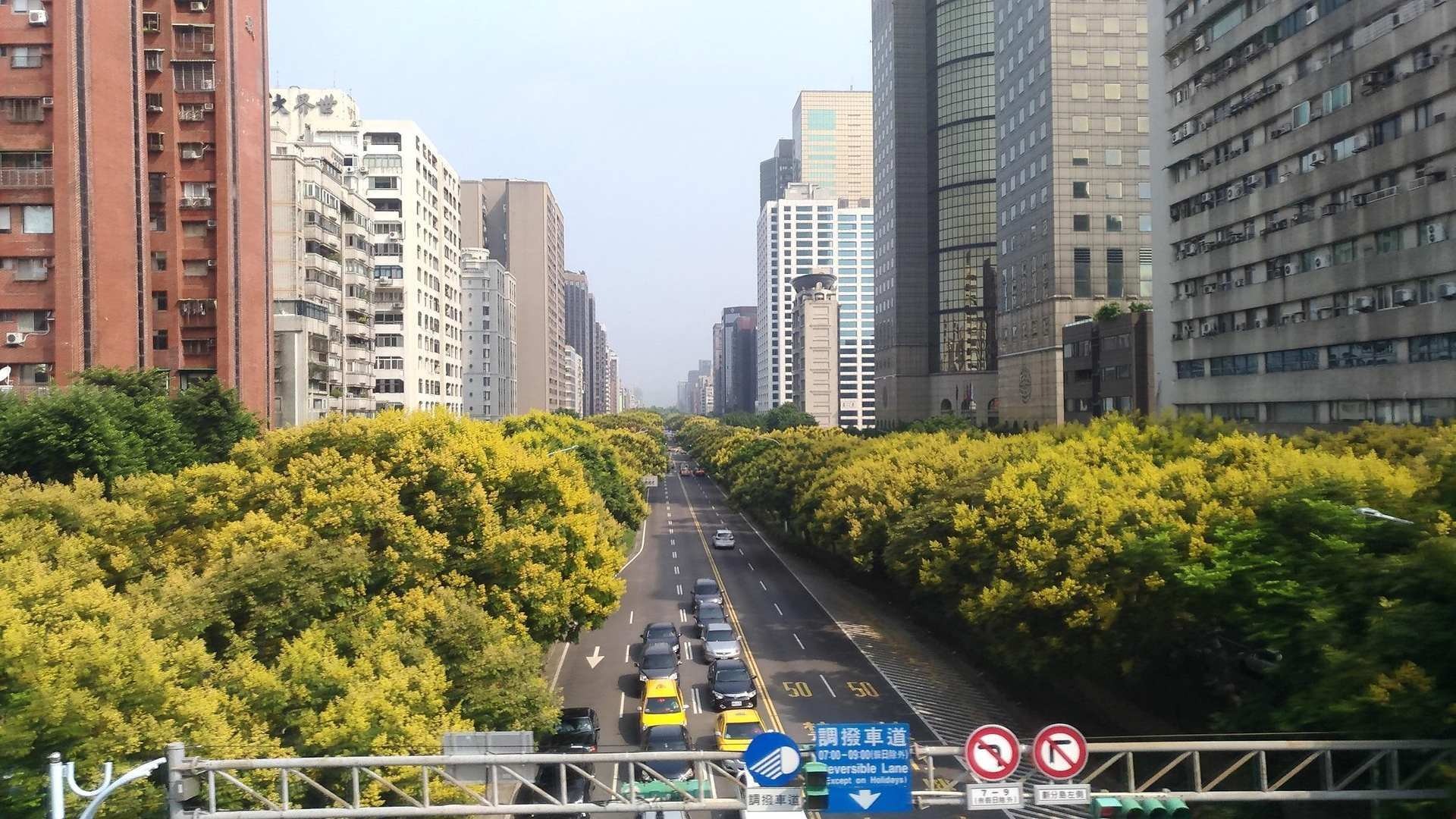 葉子紅了 - 2016～2017年 - gnaysolution的創作 - 巴哈姆特