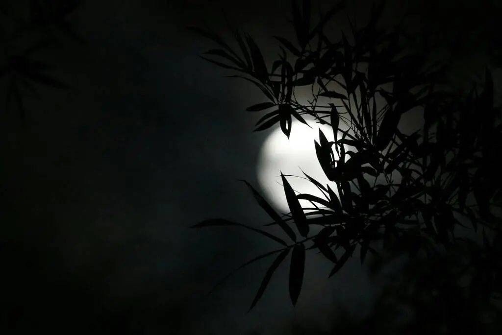 雲聊閒聊•雜七雜八。【578】（小聊…） - ash62646的創作 - 巴哈姆特