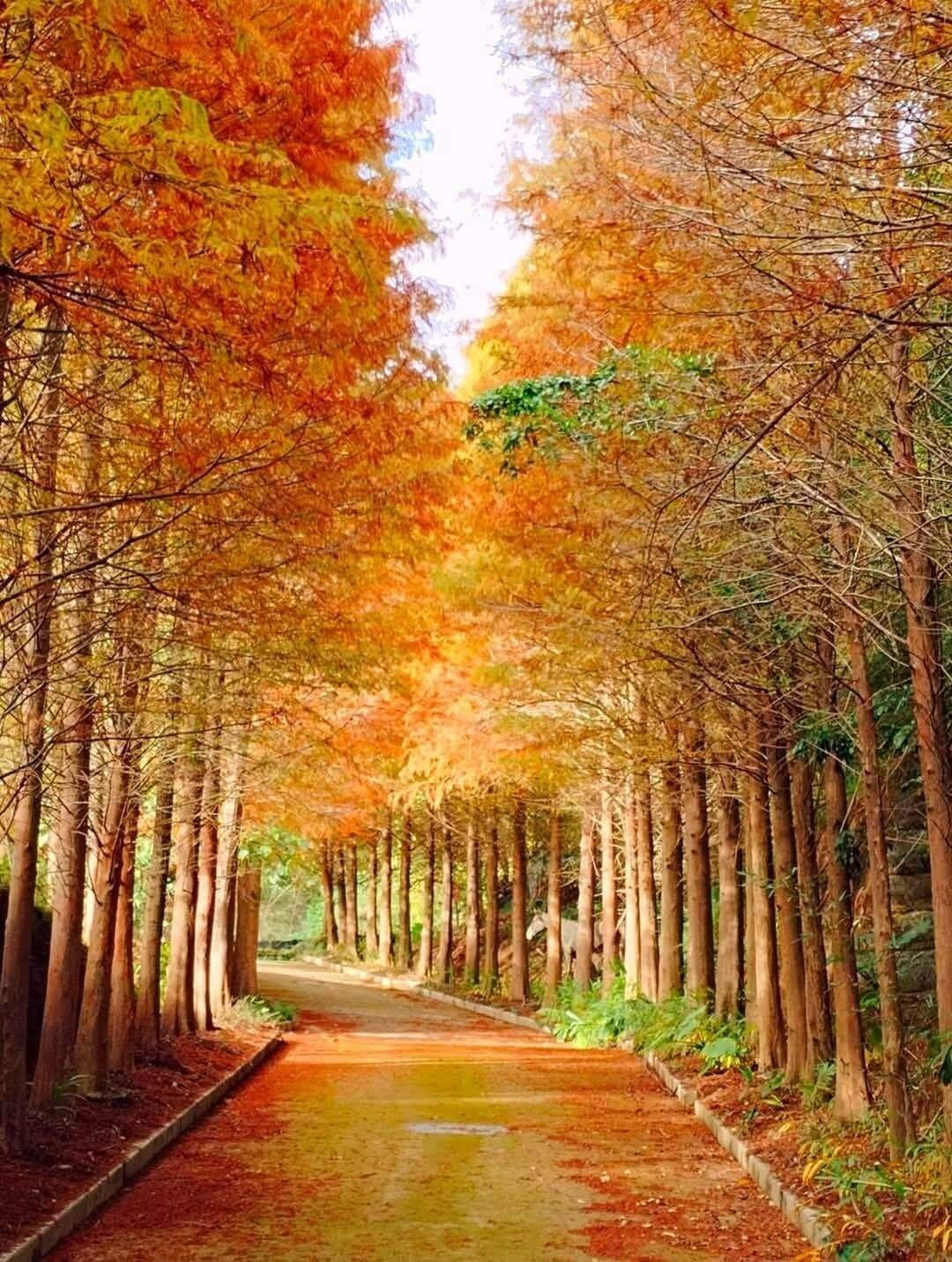 笑顏 - darklore的創作 - 巴哈姆特