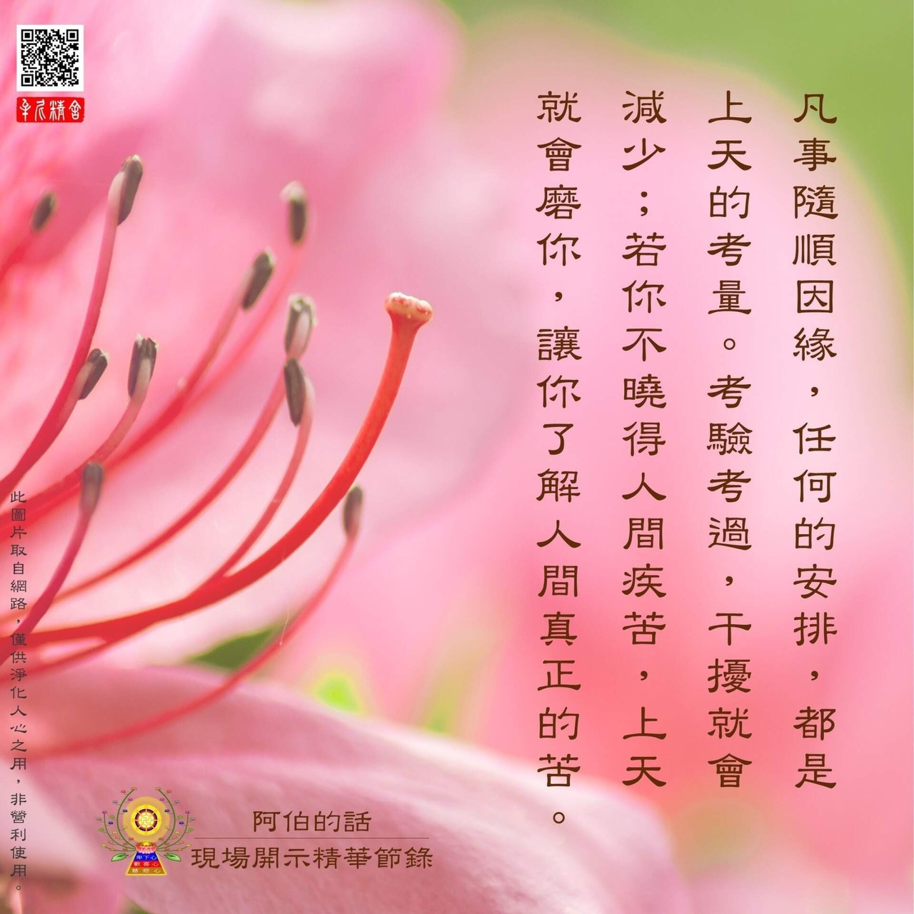 佛說十善業道經 第011集｜淨空老和尚主講 - hungrybbhk的創作 - 巴哈姆特