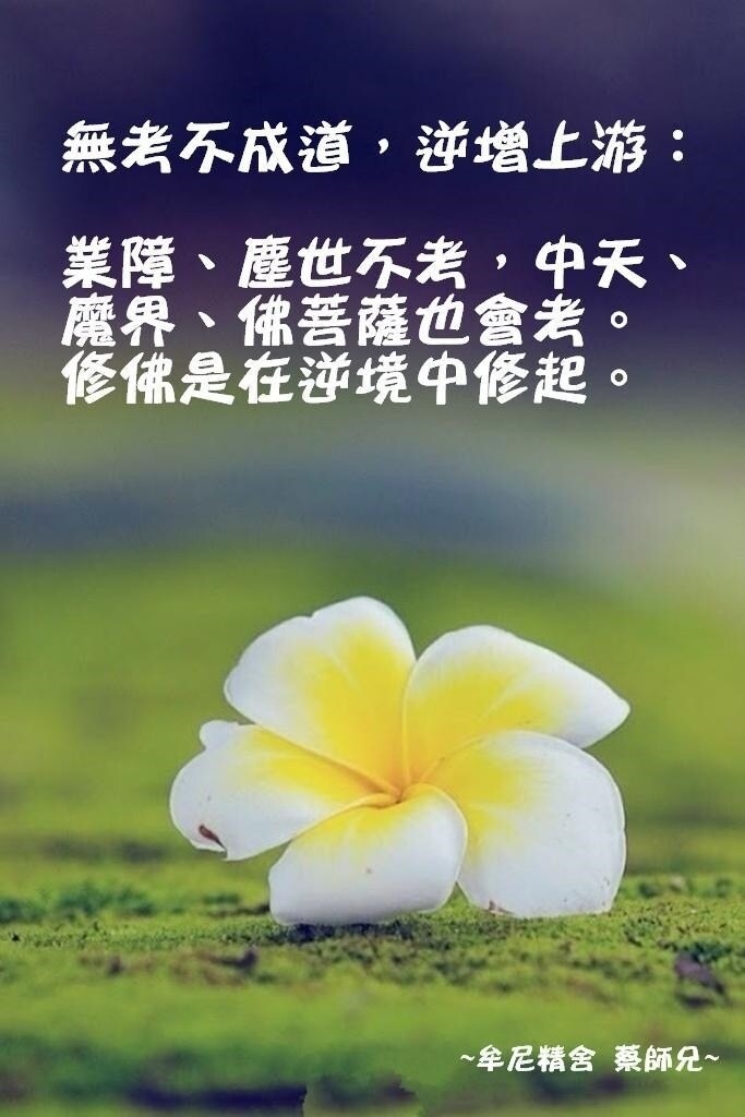 慈濟邀請您 共濟烏克蘭難民 - trouble0615的創作 - 巴哈姆特