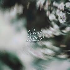 【歌詞翻譯】さくらしめじ - 春が鳴った 中+日+羅 - comeda13的創作 - 巴哈姆特