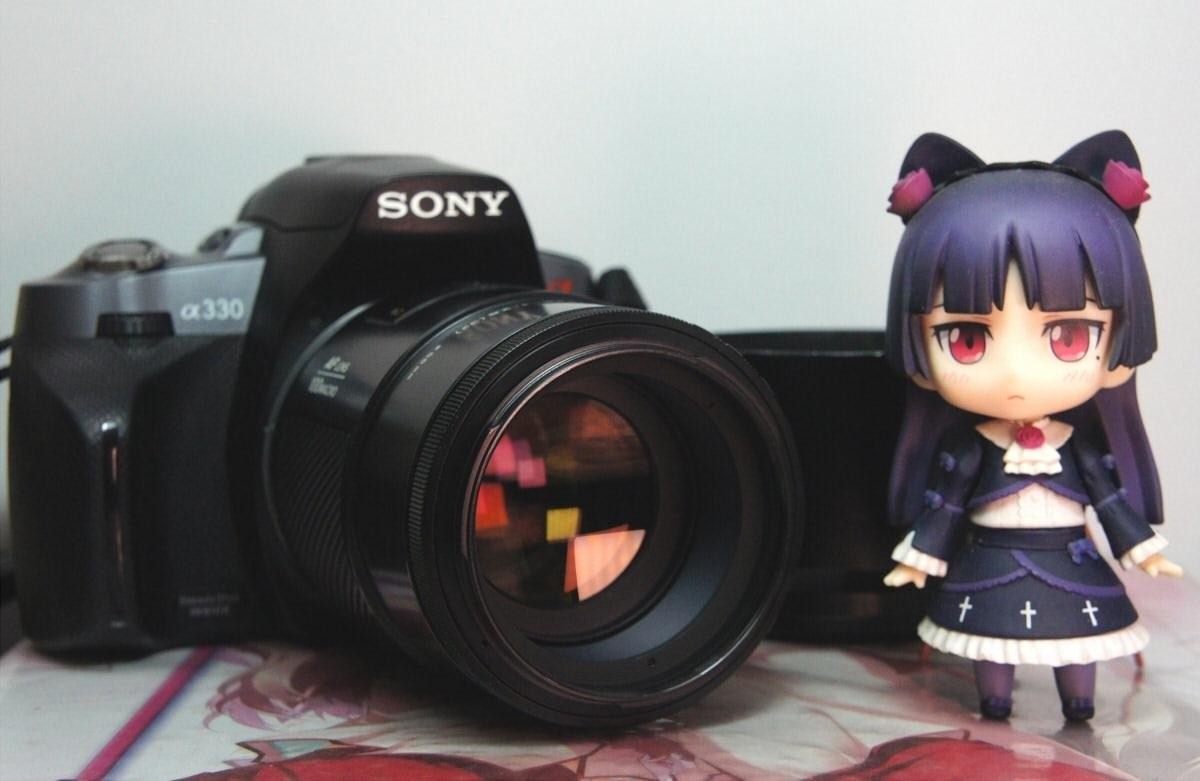 銳利的自然生態與貓咪攝影鏡頭－Minolta AF 100mm f2.8 MACRO 入手w - maxft2的創作 - 巴哈姆特