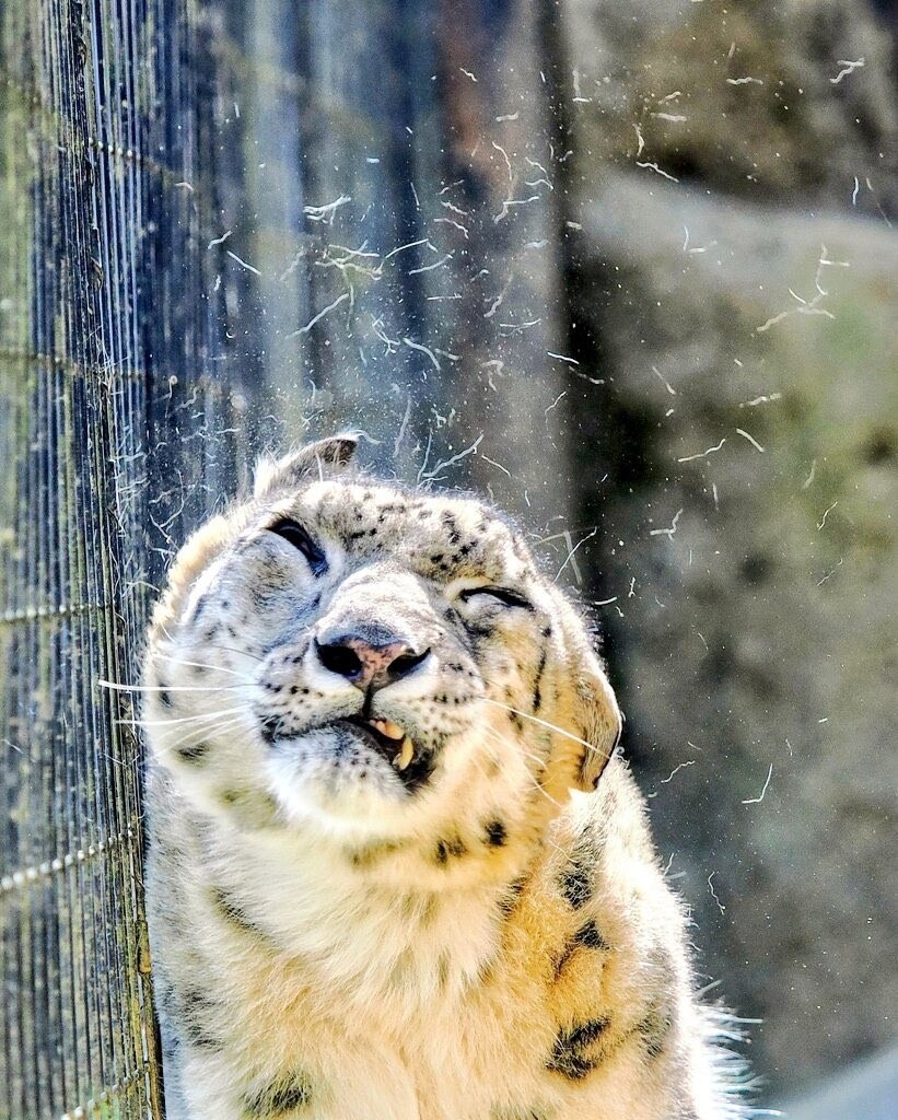 [達人專欄] 明日方舟同人 凕海劇院 LD－2 - powersd的創作 - 巴哈姆特