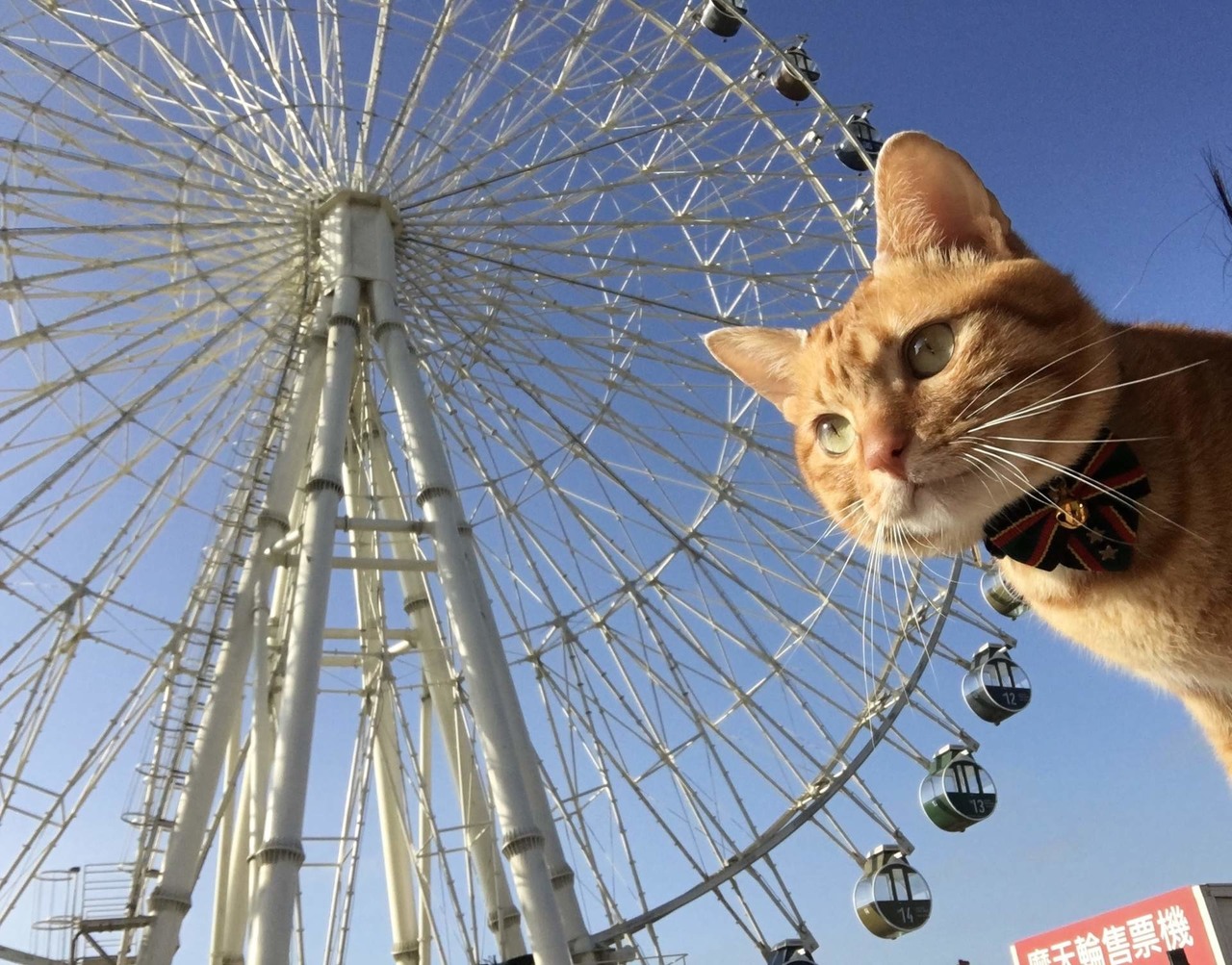 FF35會場Cosplay 募集 - ss2831365的創作 - 巴哈姆特