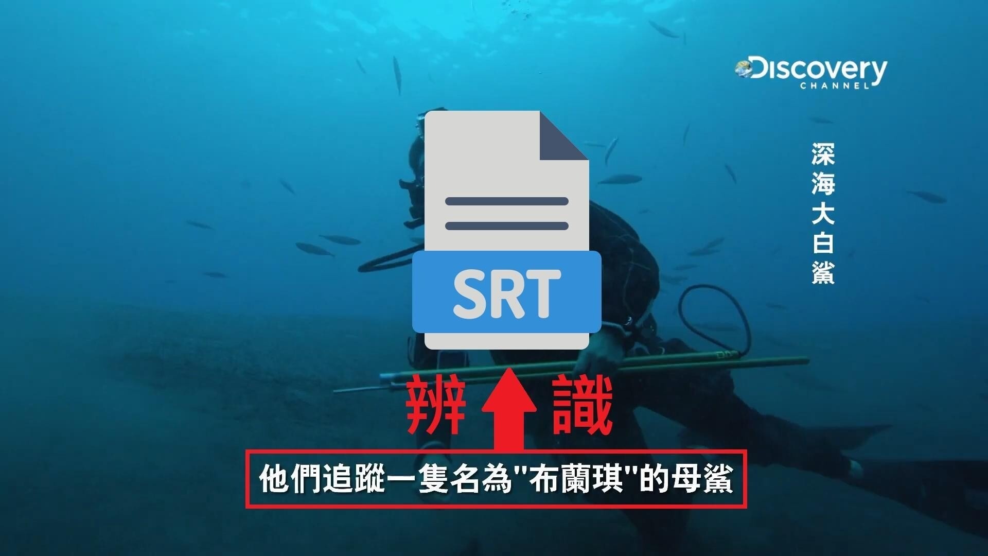 把已嵌入影片內的字幕輸出成SRT檔 - tw781027tw的創作 - 巴哈姆特