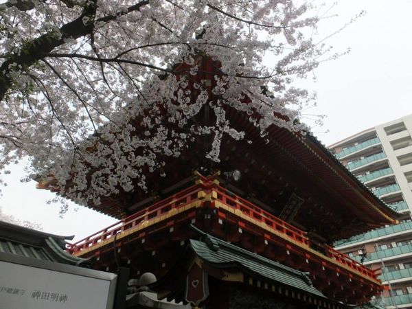 日本個人旅行說走就走－行前準備篇 - HAMAKAWA的創作 - 巴哈姆特