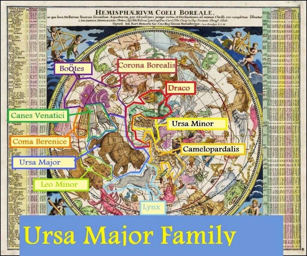 【星座】Ursa Major Family（大熊家族） - ljykrng的創作 - 巴哈姆特