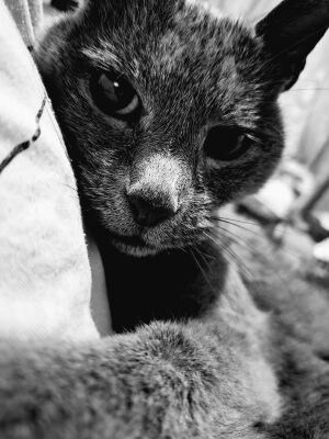 艾兒走了 - s3062072的創作 - 巴哈姆特