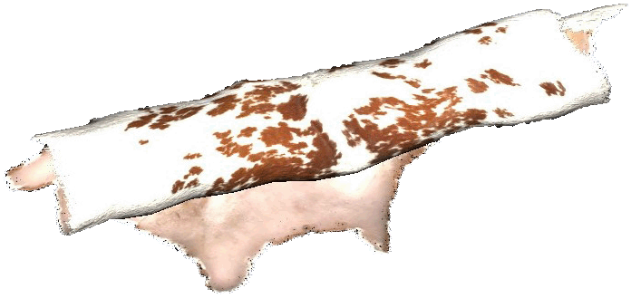 DayZ 攻略百科：Cow Pelt（牛皮） - 巴哈姆特